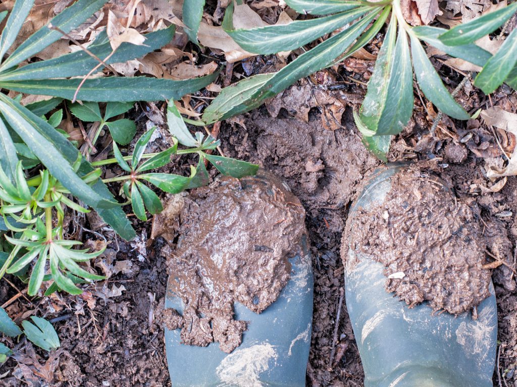 SATURATED AND THEN SOME - Wimberg Landscaping