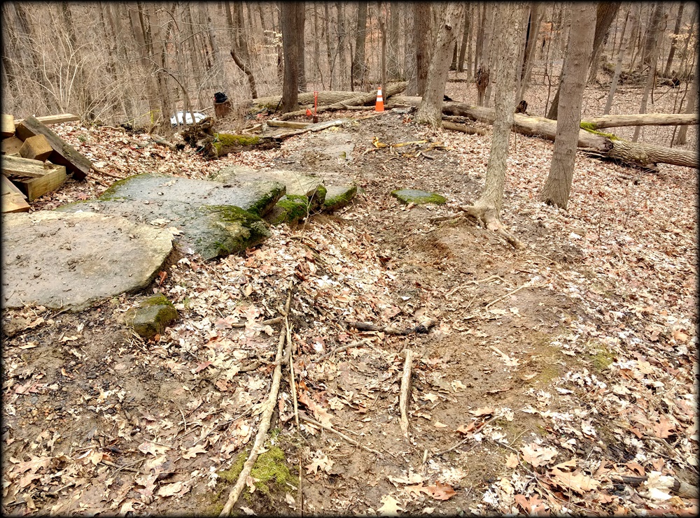 An Easy Climb - Wimberg Landscaping