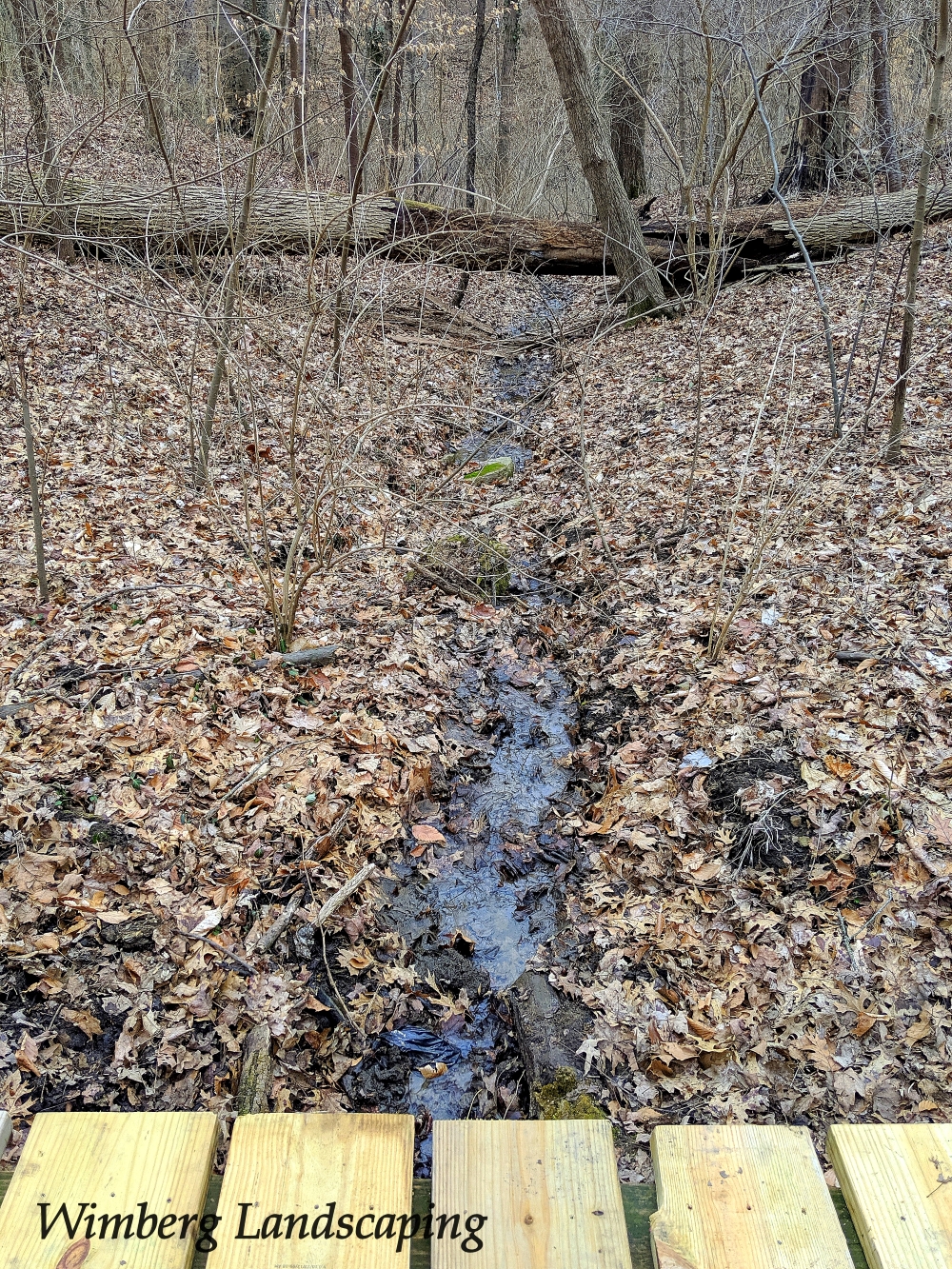 Improving the Ault Park Trail System - Wimberg Landscaping
