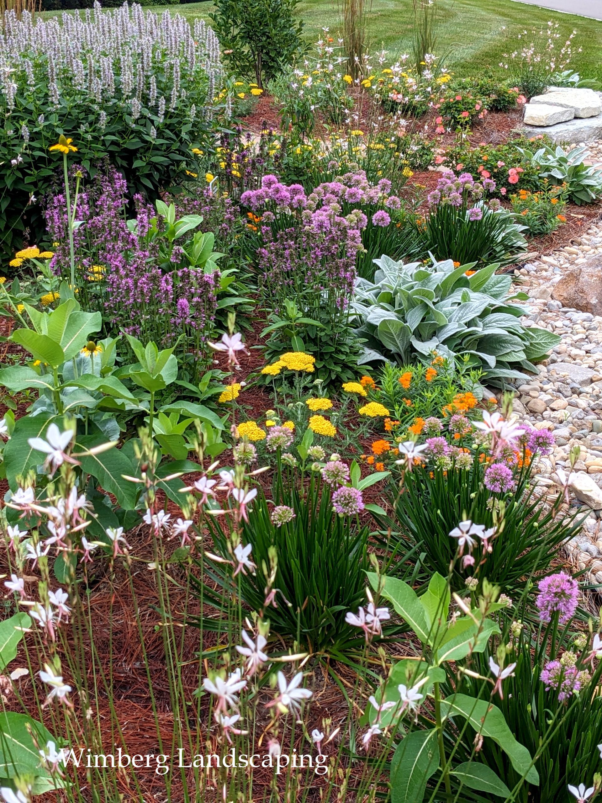 Wonderfully Tiny - Wimberg Landscaping